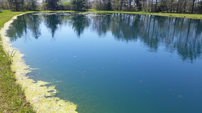 Fin Farm Pond Treatment | Fin Farm LLC